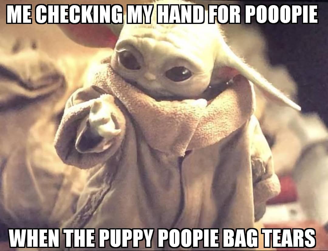 Solve poop jigsaw puzzle online with 35 pieces