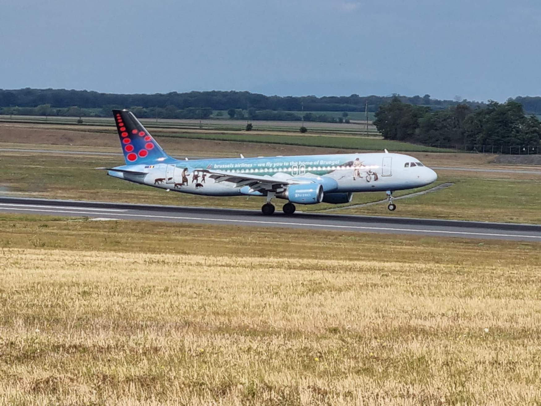Jigsaw Puzzle | Airbus A320 Belgian Icons Livery Brussels Airlines ...