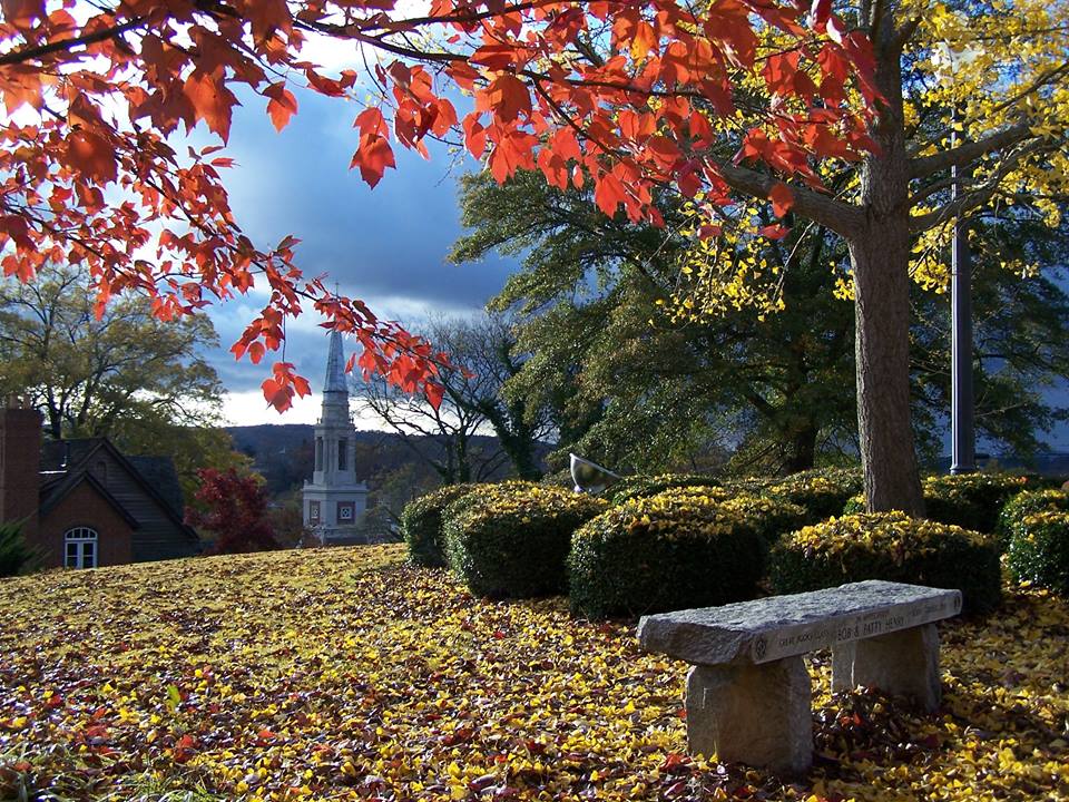 Solve Fall Colors, Rome, GA jigsaw puzzle online with 88 pieces