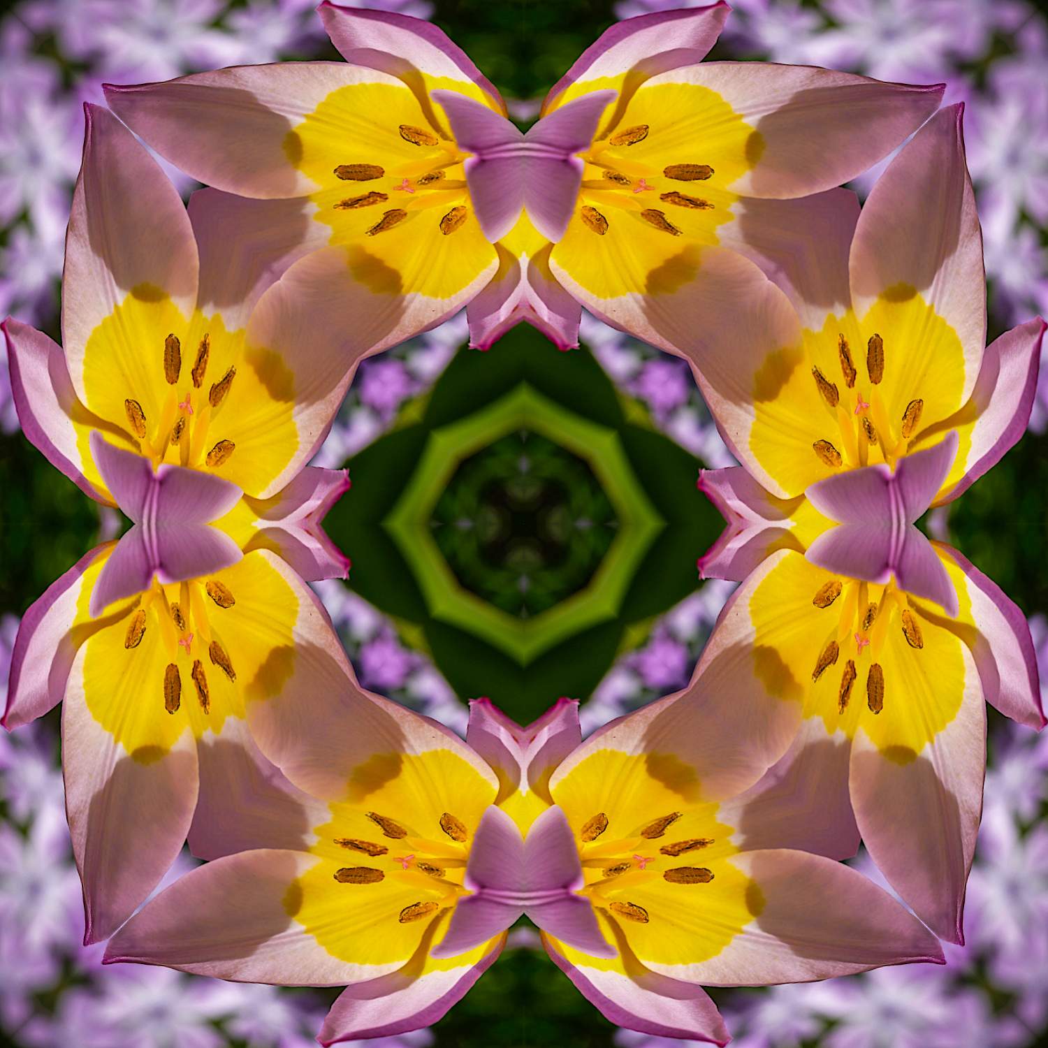 Solve #2 large jigsaw puzzle online with 144 pieces