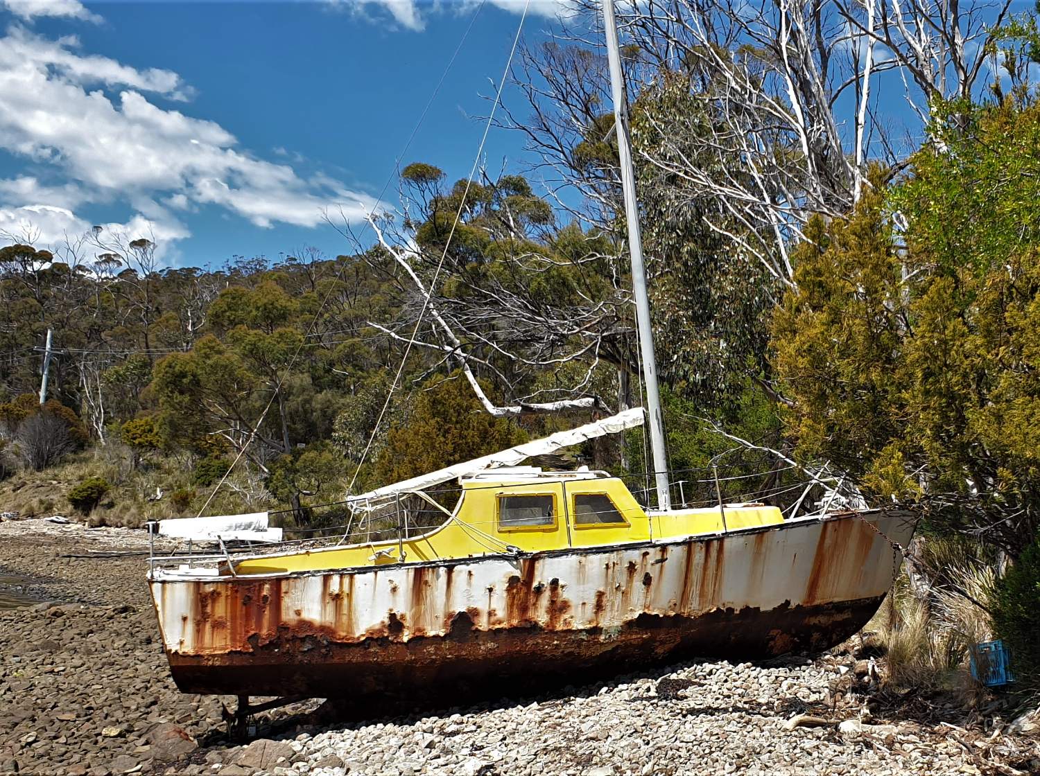 Solve In need of a little TLC jigsaw puzzle online with 108 pieces