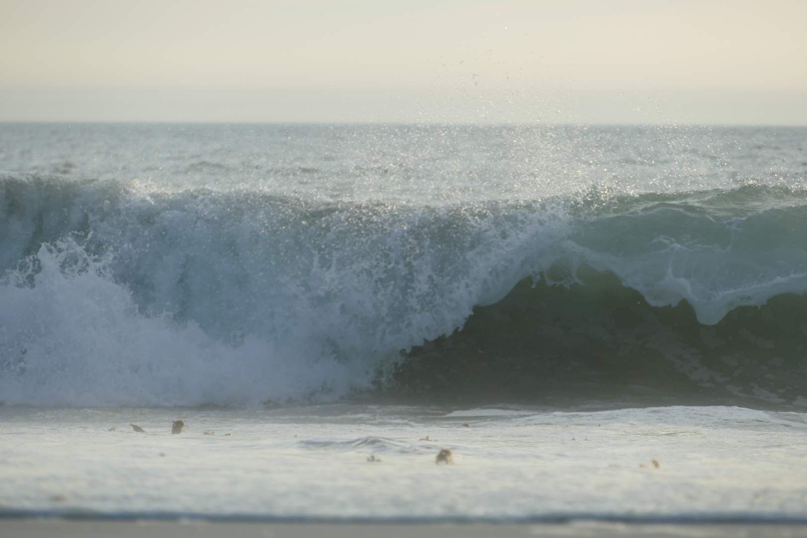 Solve vague jigsaw puzzle online with 117 pieces