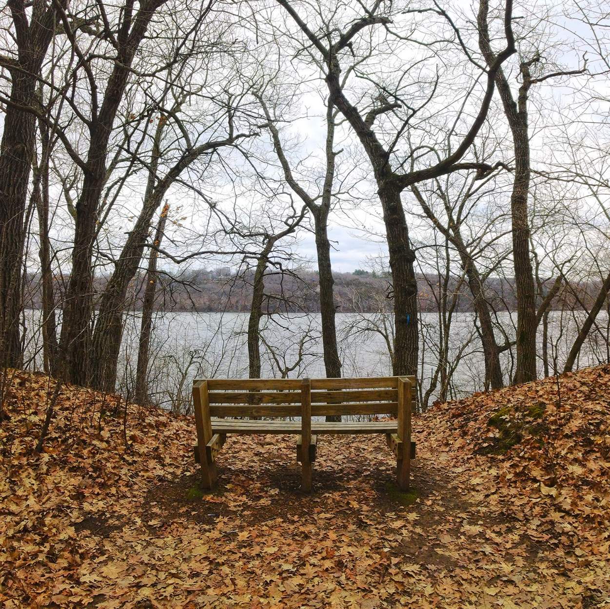 Solve Empty Bench jigsaw puzzle online with 100 pieces