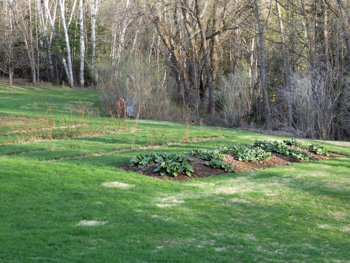 Solve Spring is springing up! jigsaw puzzle online with 20 pieces