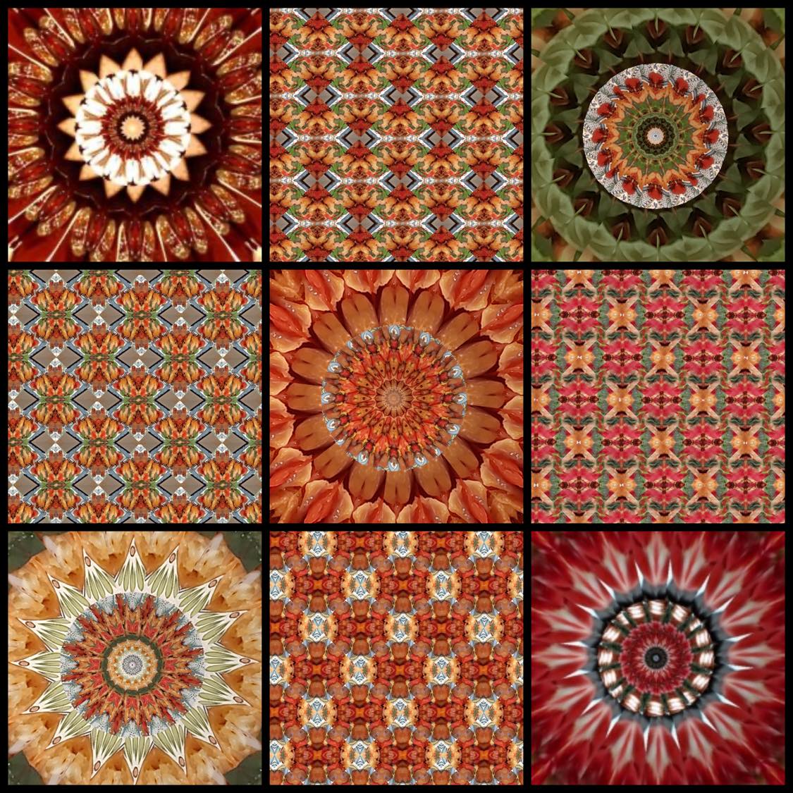 Jigsaw Puzzle | Theme: Fall Colors: Smallest | 36 pieces | Jigidi