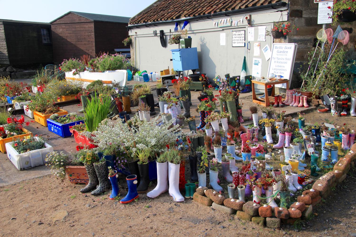 Solve St Monans Wellie Boot Garden jigsaw puzzle online with 96 pieces