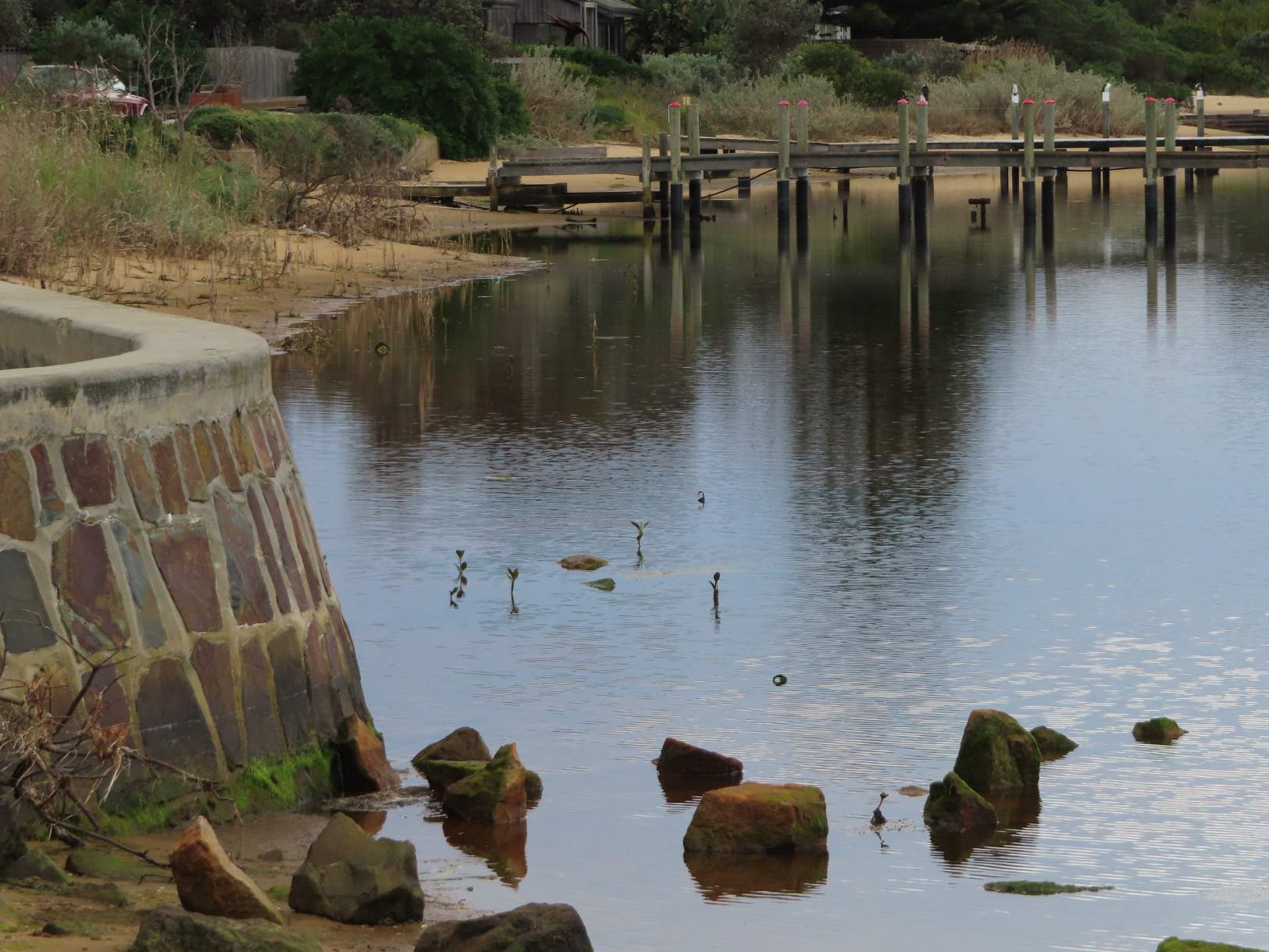 Solve On our walk to Lakes Entrance - closer jigsaw puzzle online with ...