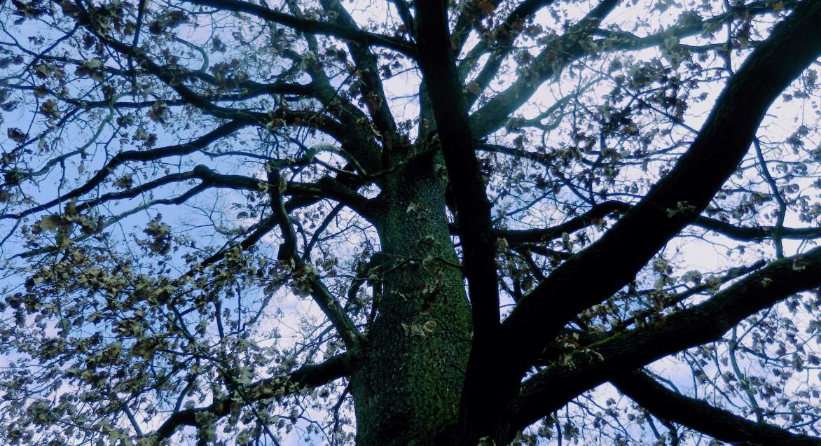 Solve Strom jigsaw puzzle online with 15 pieces