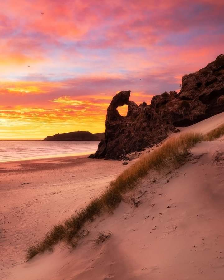 Solve Sunrise jigsaw puzzle online with 42 pieces