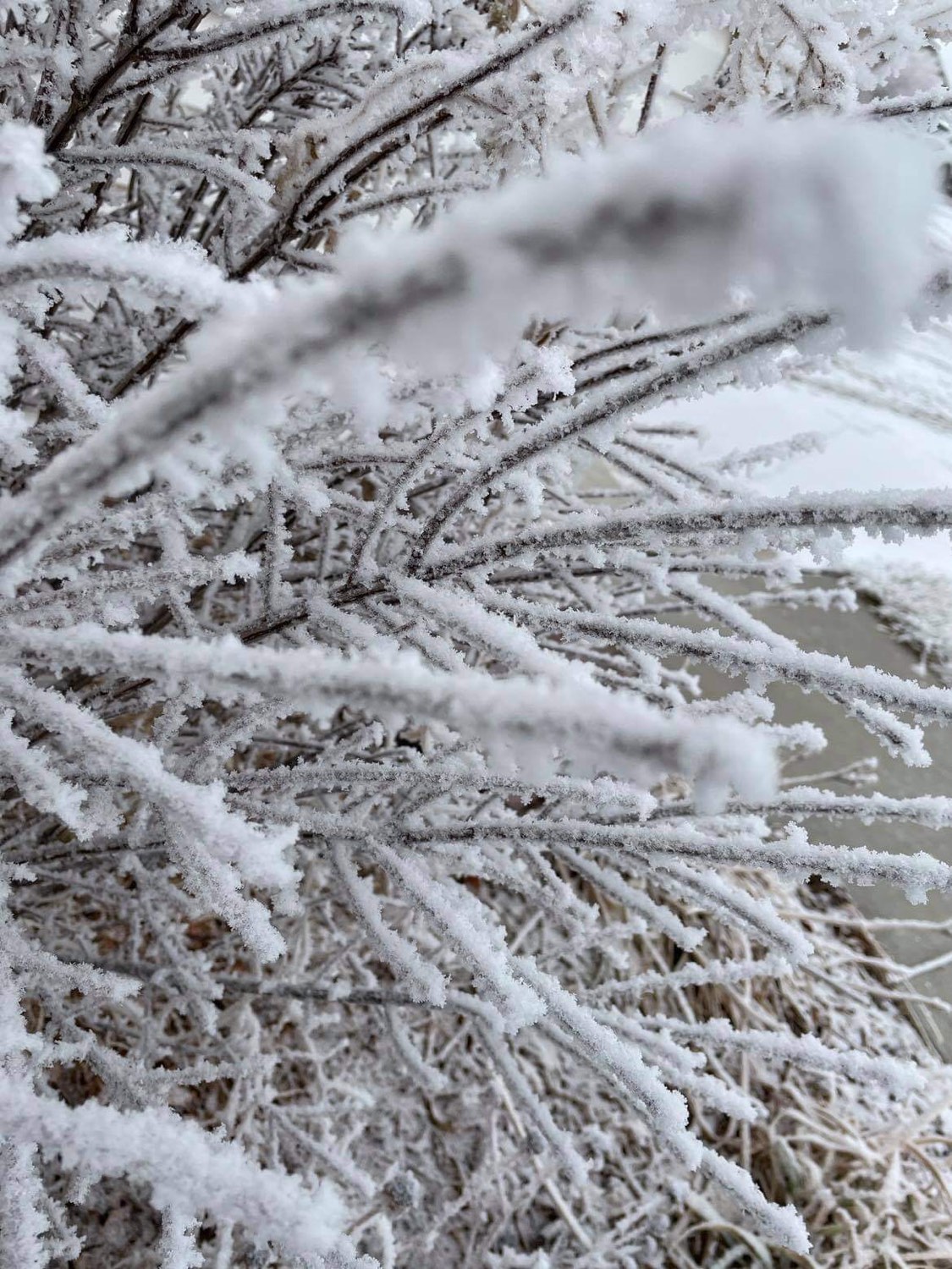 Solve Icy, cold winter day jigsaw puzzle online with 108 pieces