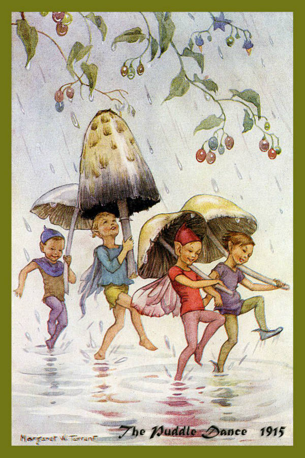 Solve The puddle dance jigsaw puzzle online with 35 pieces