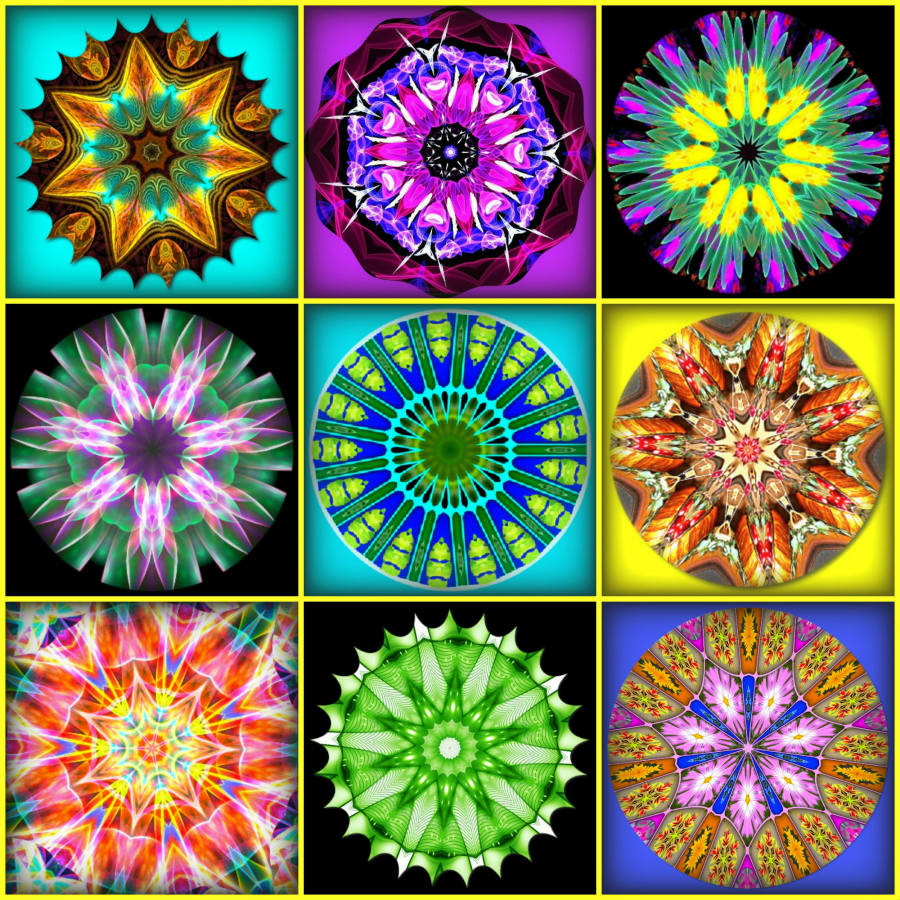 Solve Collage 3x3 jigsaw puzzle online with 81 pieces