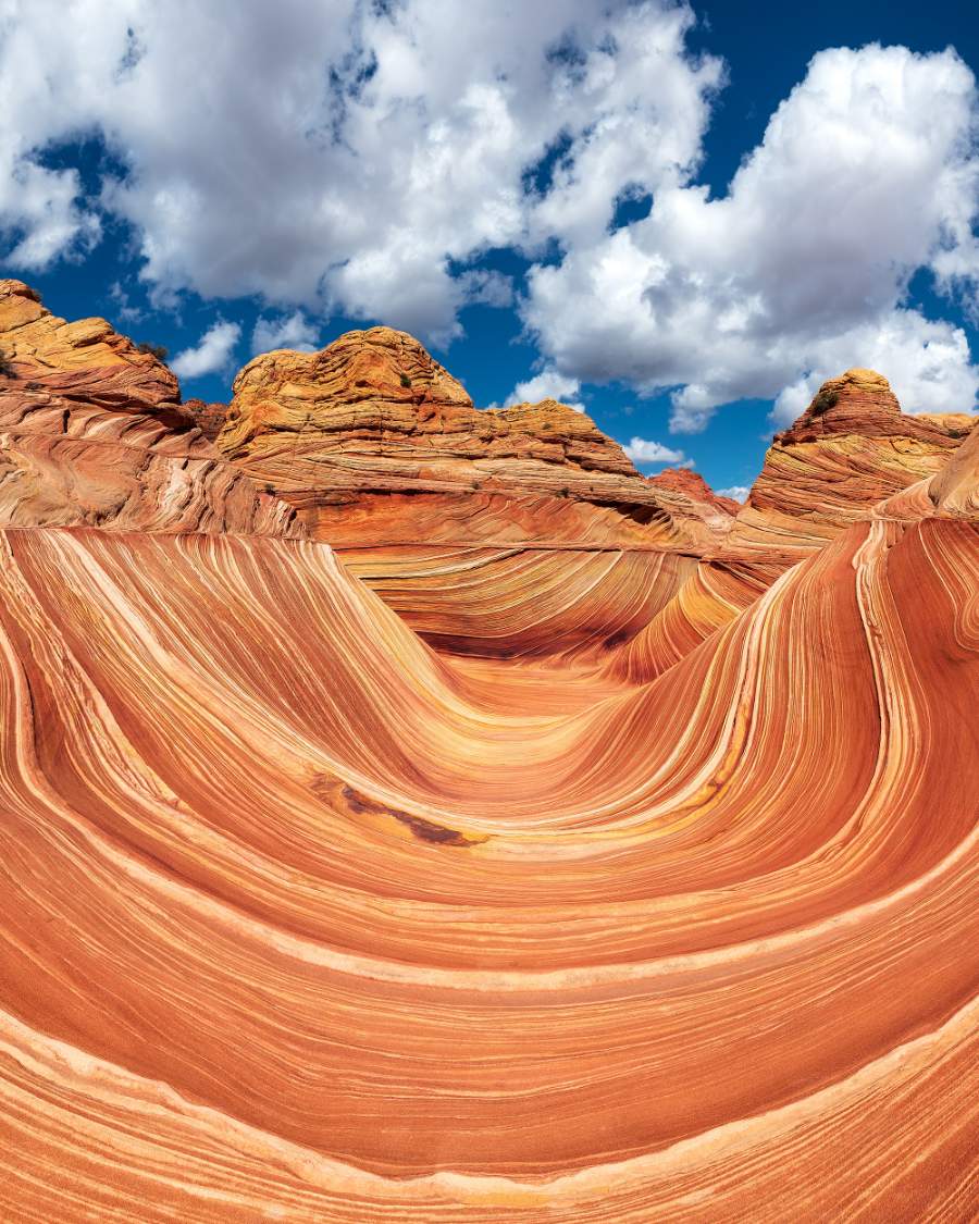 Solve the Wave in Arizona jigsaw puzzle online with 63 pieces