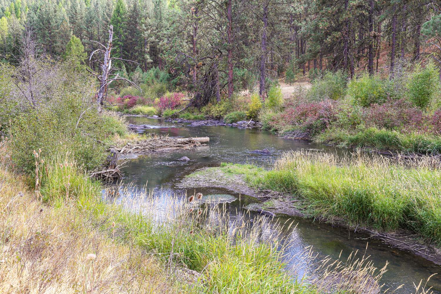 Solve EASTERN OREGON RIVER jigsaw puzzle online with 96 pieces
