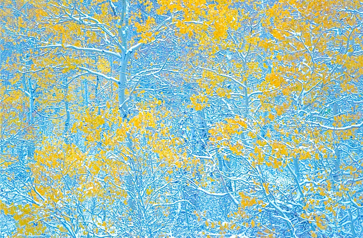 Solve Winner Eric Bennett, Photographer of the Year, 2021 Natural ...