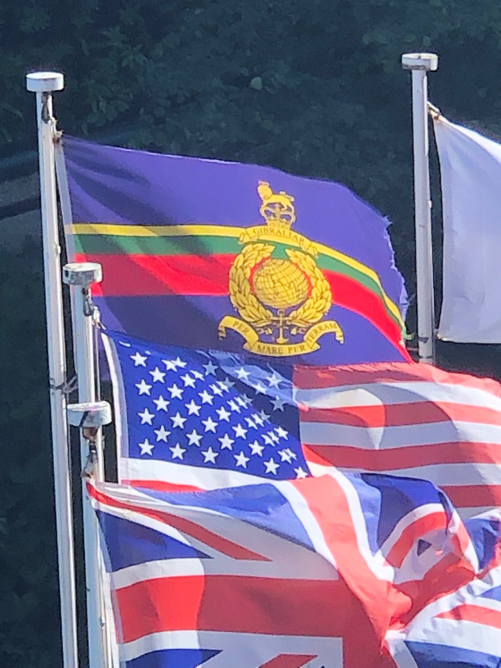 Jigsaw Puzzle | Flags | 99 pieces | Jigidi