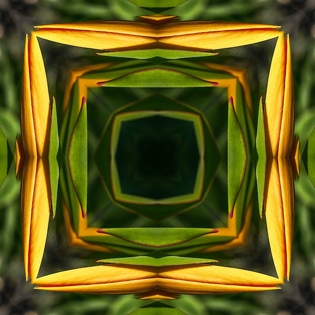 Solve #1 very small jigsaw puzzle online with 25 pieces