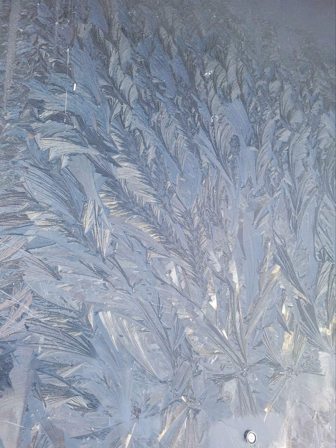 Solve frost painted--challenging jigsaw puzzle online with 500 pieces