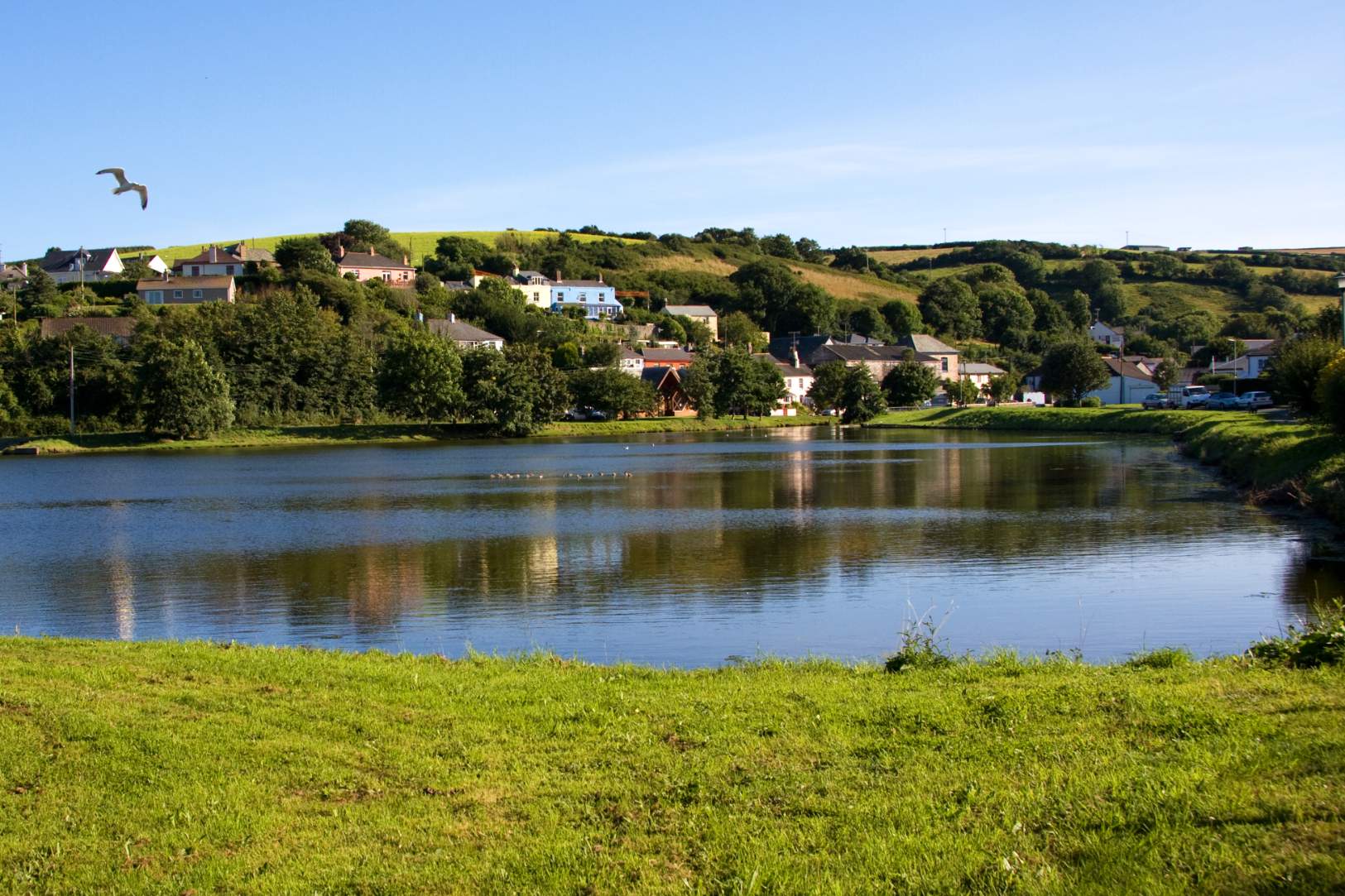 Solve Millbrook Lake, Cornwall jigsaw puzzle online with 117 pieces