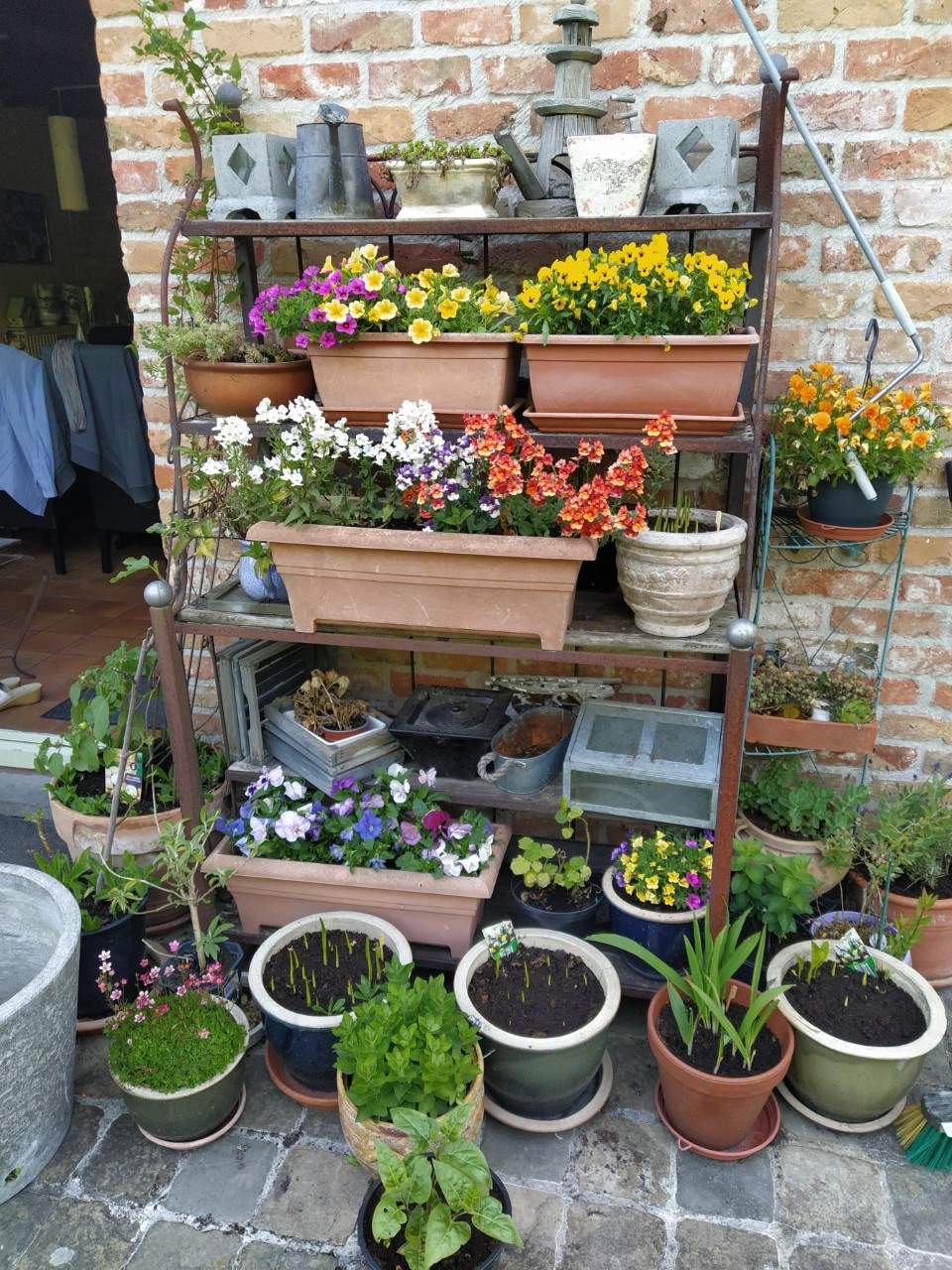 Solve jigidi jigsaw puzzle online with 266 pieces