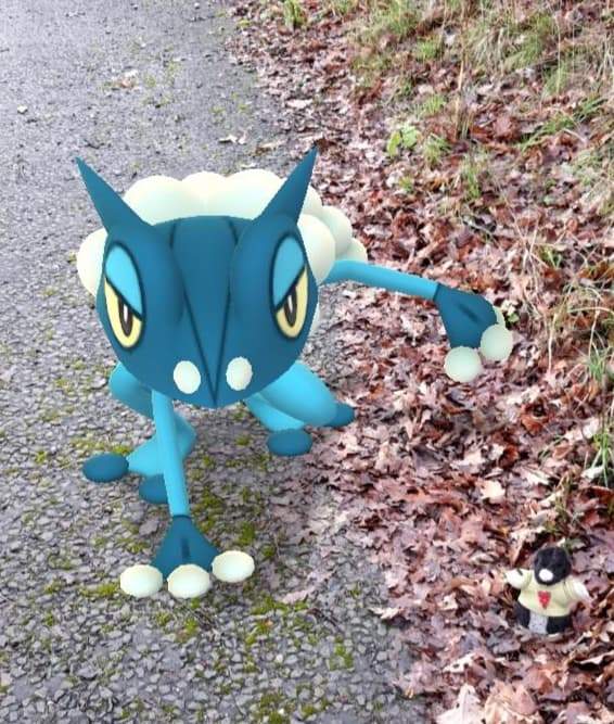 Solve Me and the Frogadier jigsaw puzzle online with 90 pieces