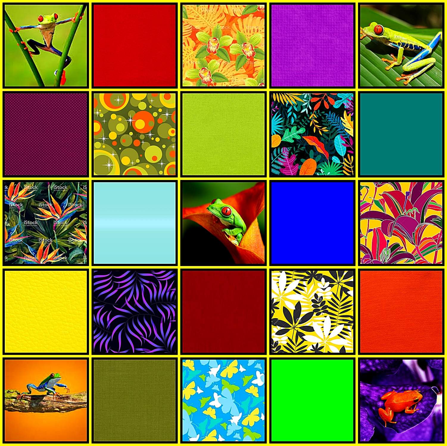 Solve Tree Frog jigsaw puzzle online with 169 pieces