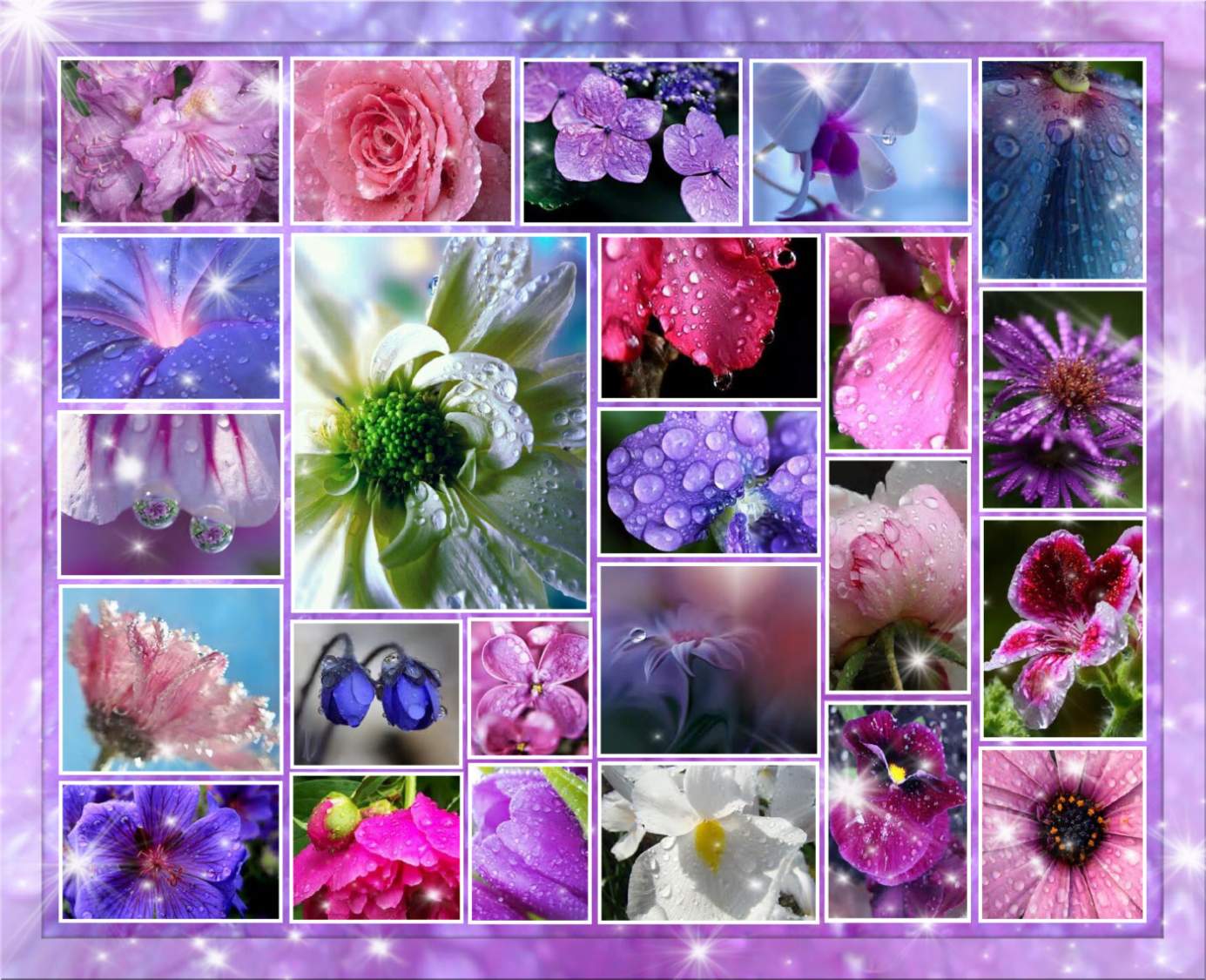 Solve April showers bring May flowers jigsaw puzzle online with 42 pieces