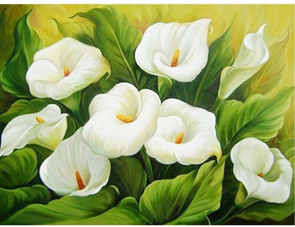 Solve Calla Lily jigsaw puzzle online with 208 pieces Solve Calla Lily jigsaw puzzle online with 208 pieces