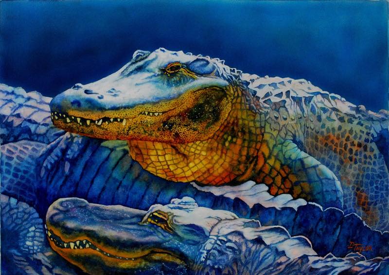 Solve Gator jigsaw puzzle online with 130 pieces