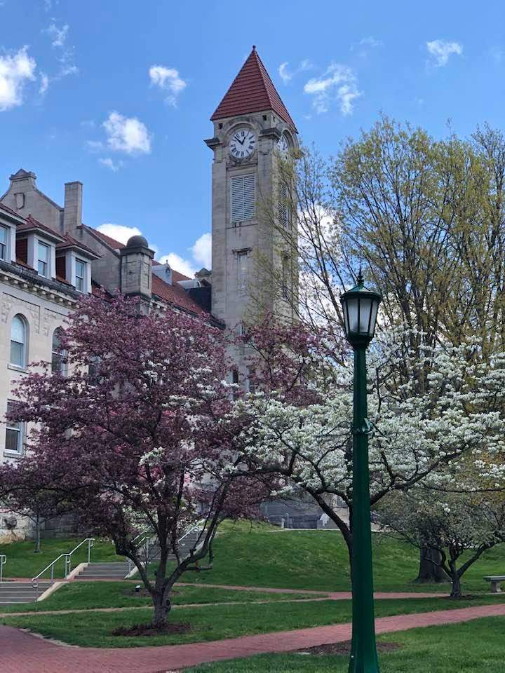 Solve Springtime Trees at Indiana University, Bloomington, IN jigsaw ...