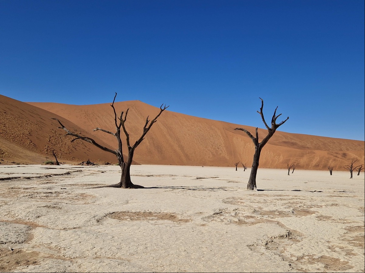 Solve Namibia jigsaw puzzle online with 80 pieces