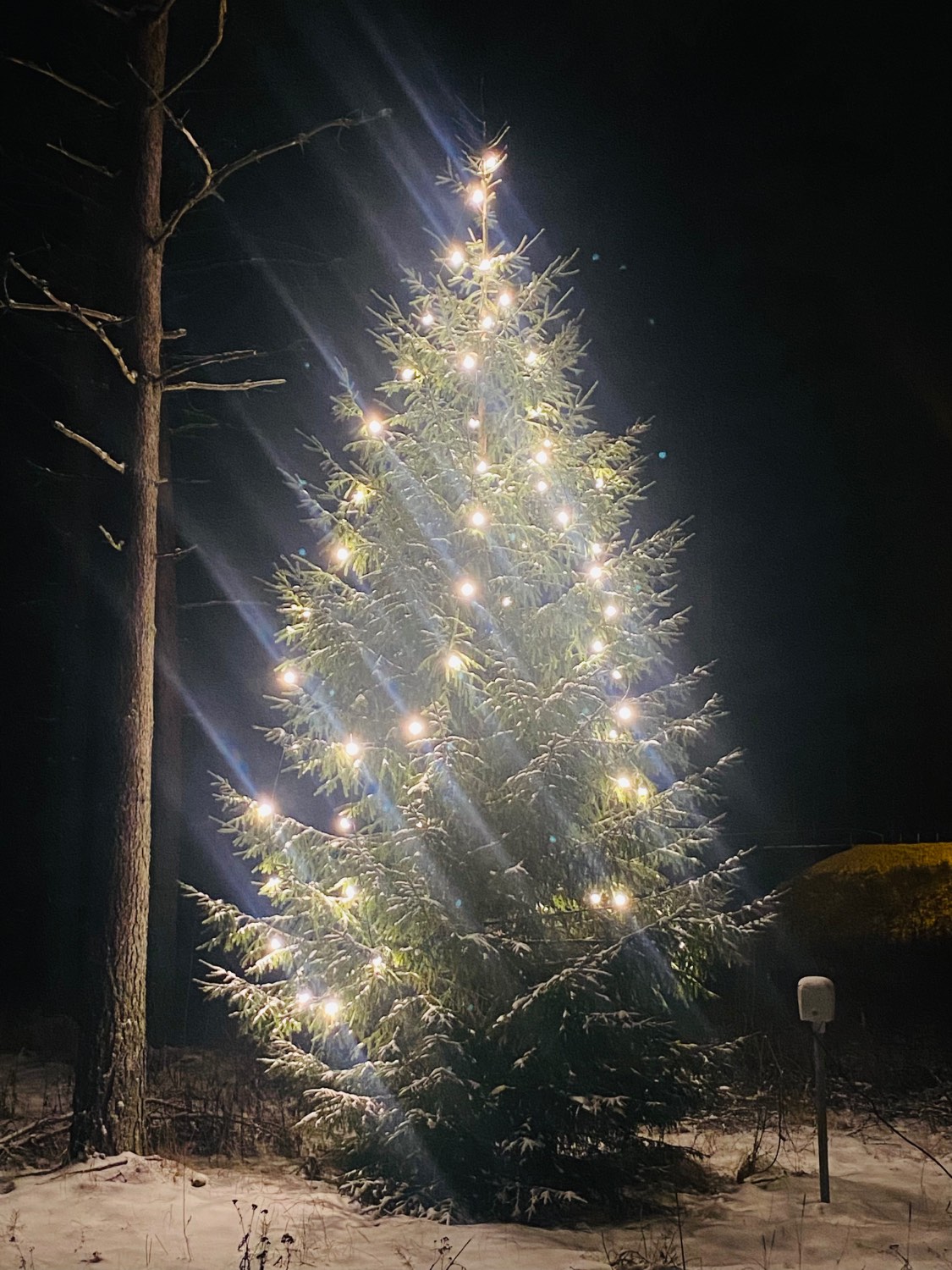 Solve Joulupuu on rakennettu 🤗 jigsaw puzzle online with 154 pieces