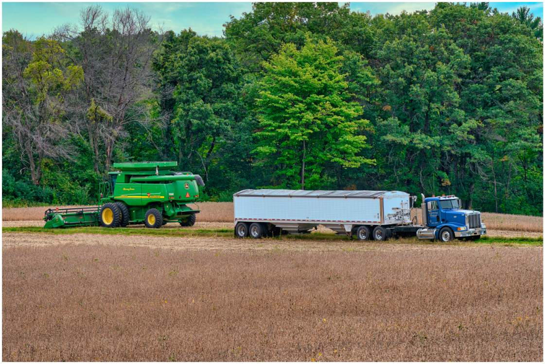 Solve Bean Time! jigsaw puzzle online with 15 pieces