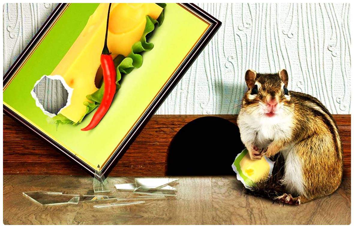 Solve CGI Art - Confused Chipmunk jigsaw puzzle online with 216 pieces