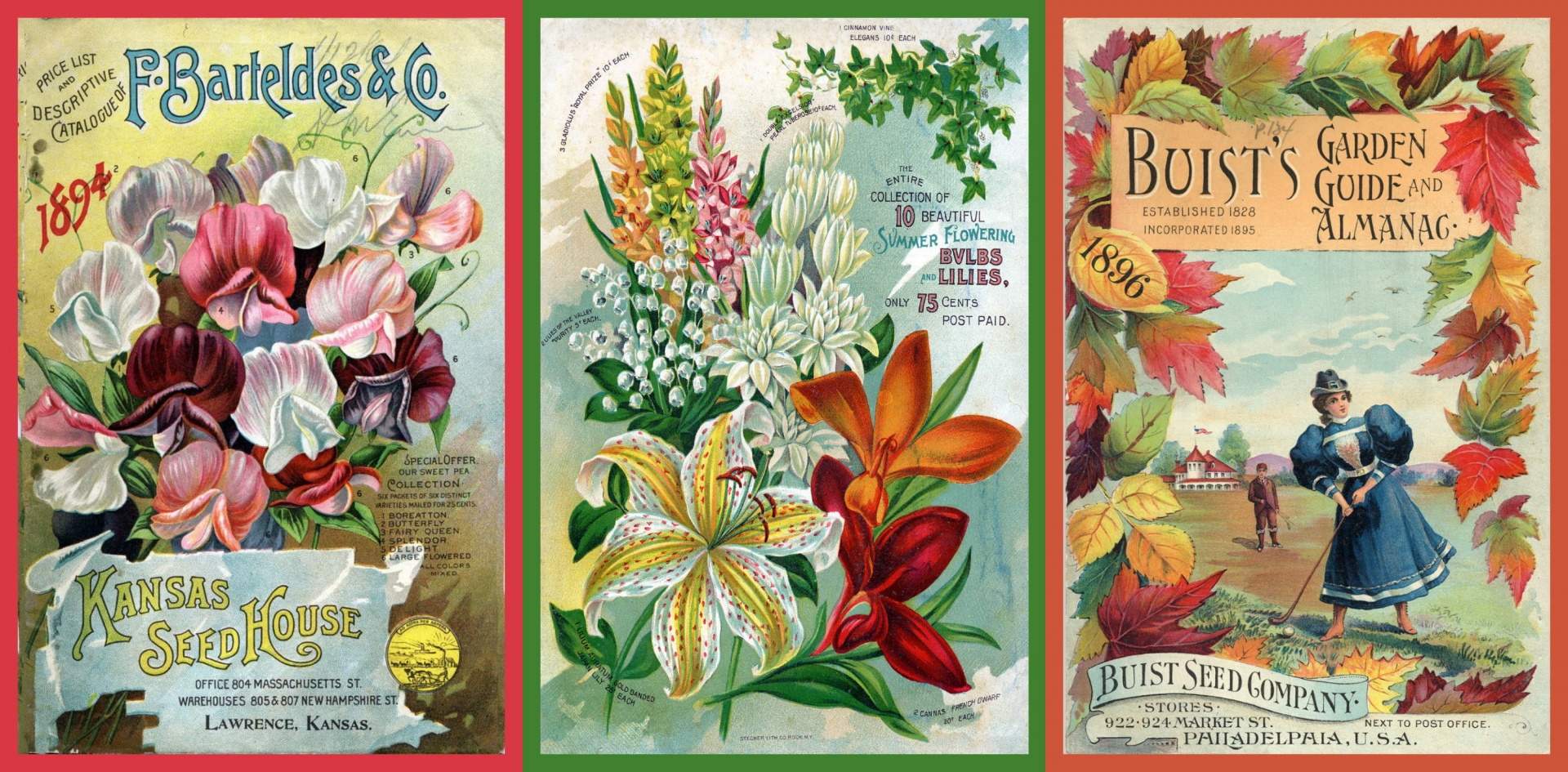 Solve Vintage Seed Catalogs jigsaw puzzle online with 300 pieces