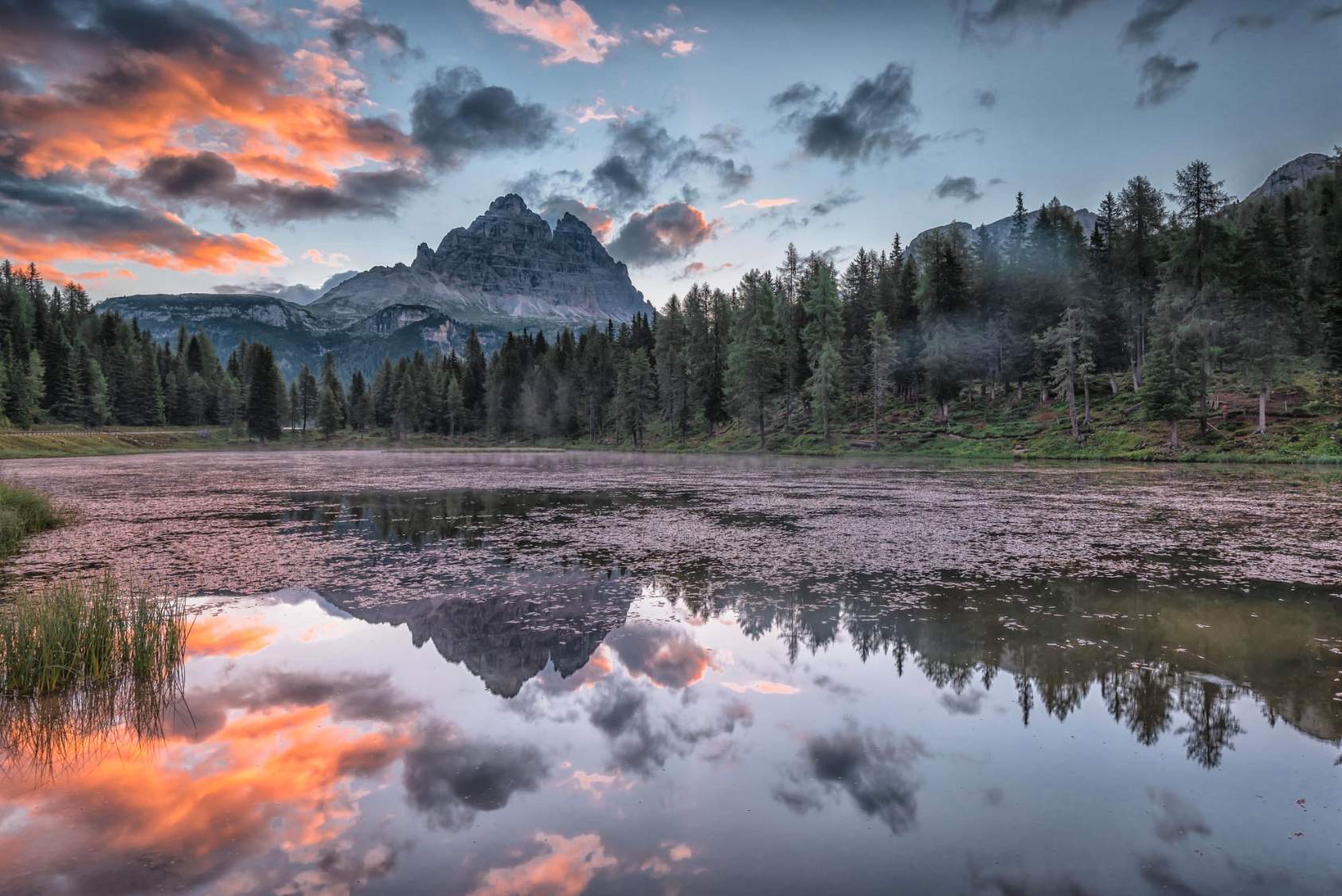 Solve Peace for the whole world jigsaw puzzle online with 126 pieces