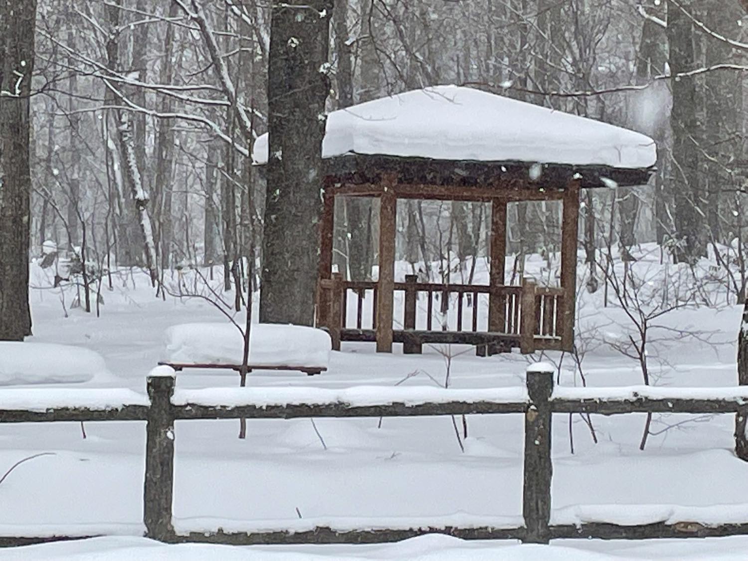 Solve Rest Stop in the Snow jigsaw puzzle online with 63 pieces