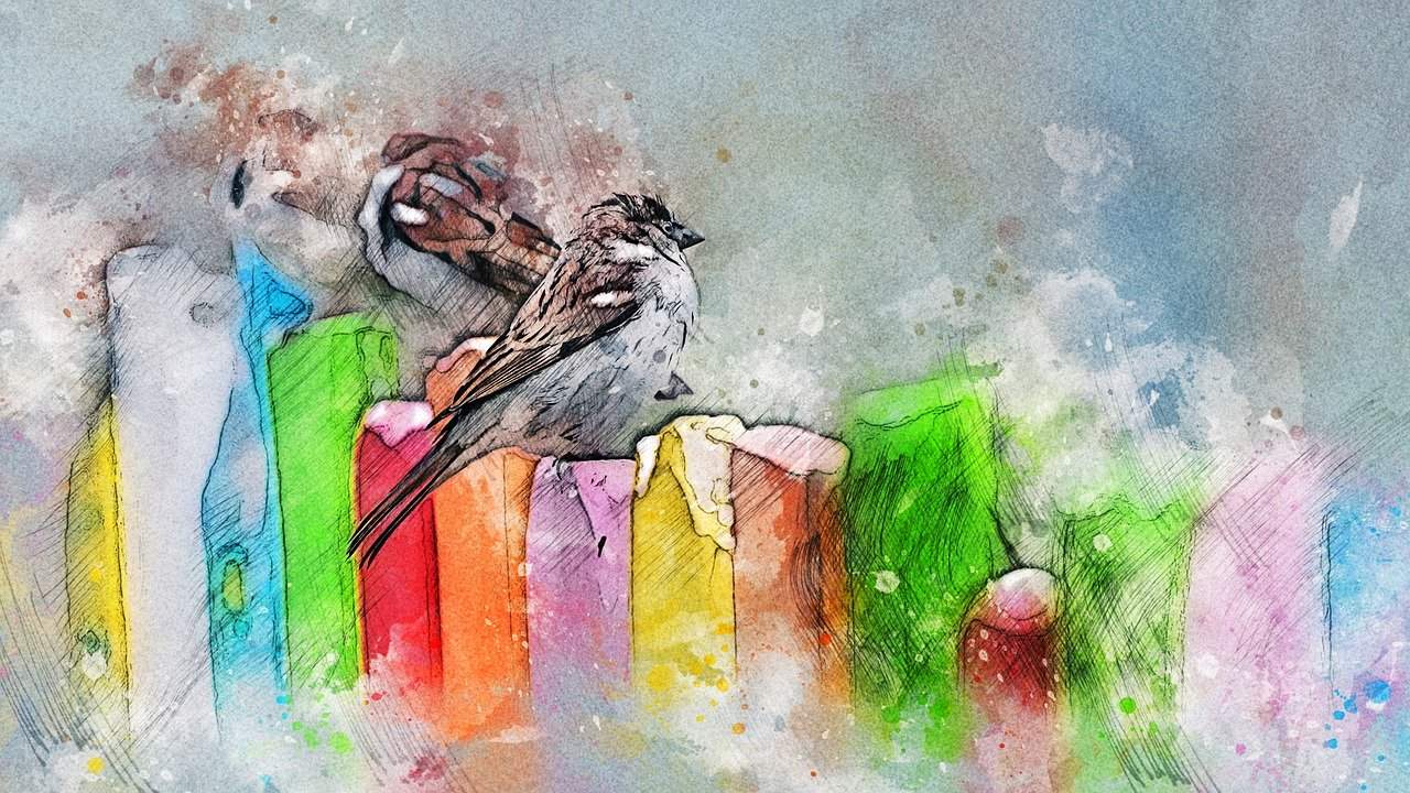 Solve sparrow-73 jigsaw puzzle online with 104 pieces