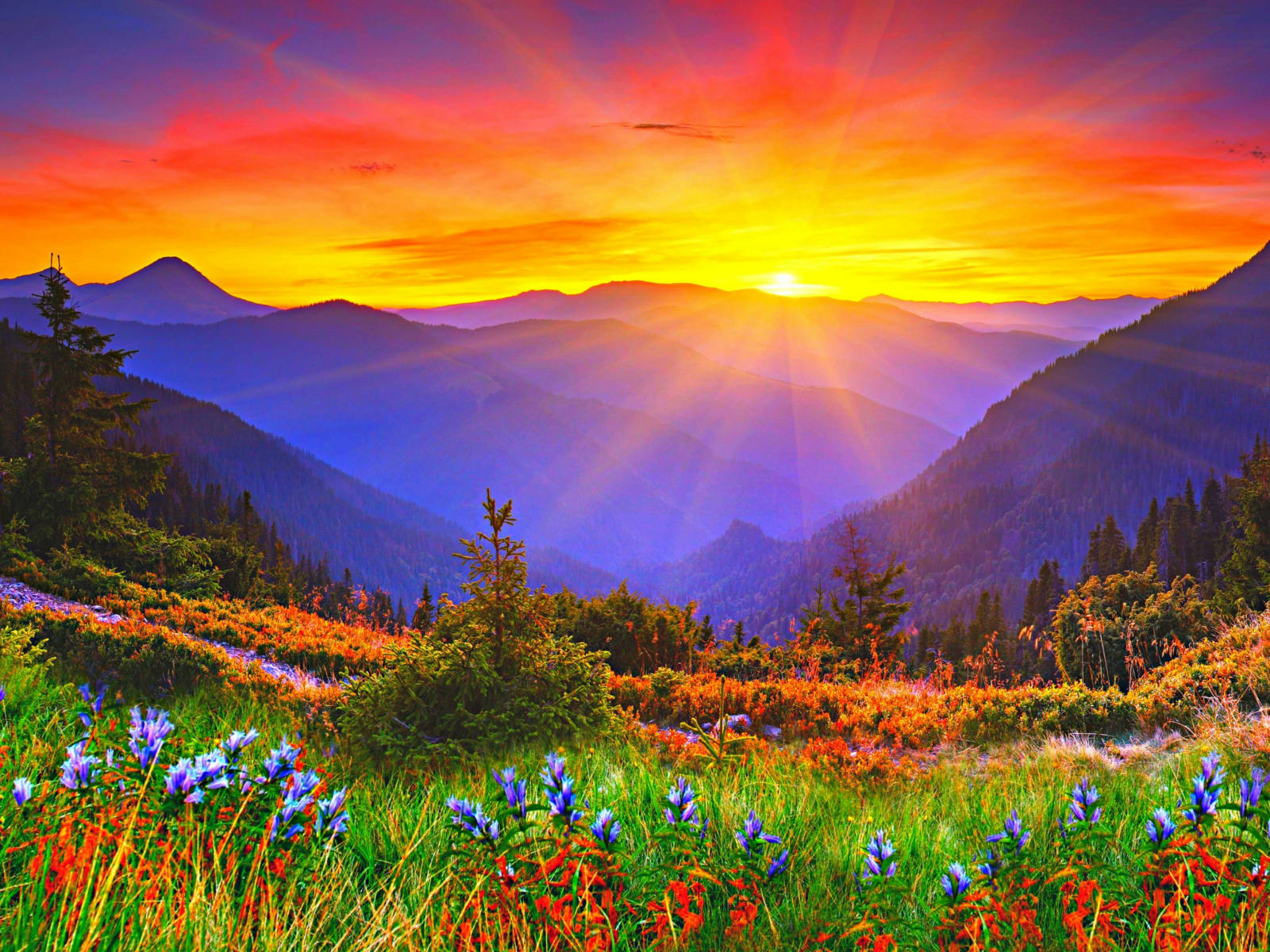 Solve Beautiful scenery jigsaw puzzle online with 336 pieces