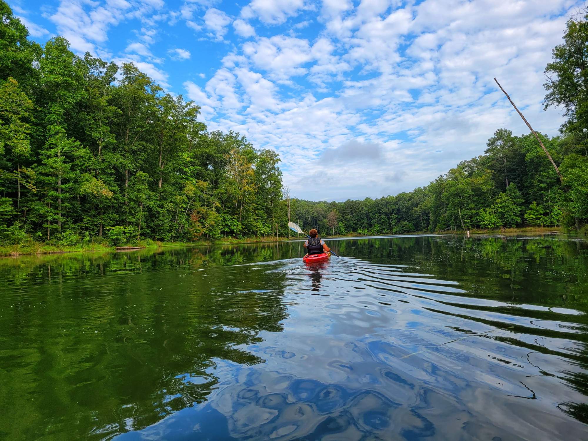 Jigsaw Puzzle | Row, Row, Row Your Boat | 204 pieces | Jigidi