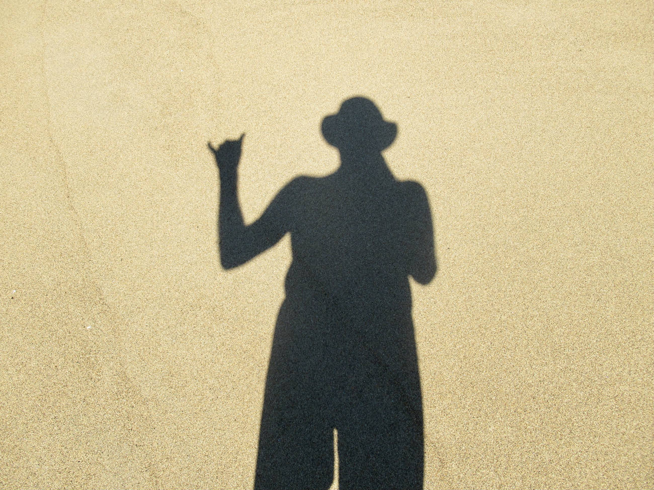 Solve Shadow on the beach jigsaw puzzle online with 130 pieces