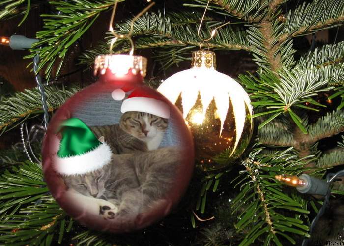 Solve Our Celia & Jasper ♥ jigsaw puzzle online with 88 pieces