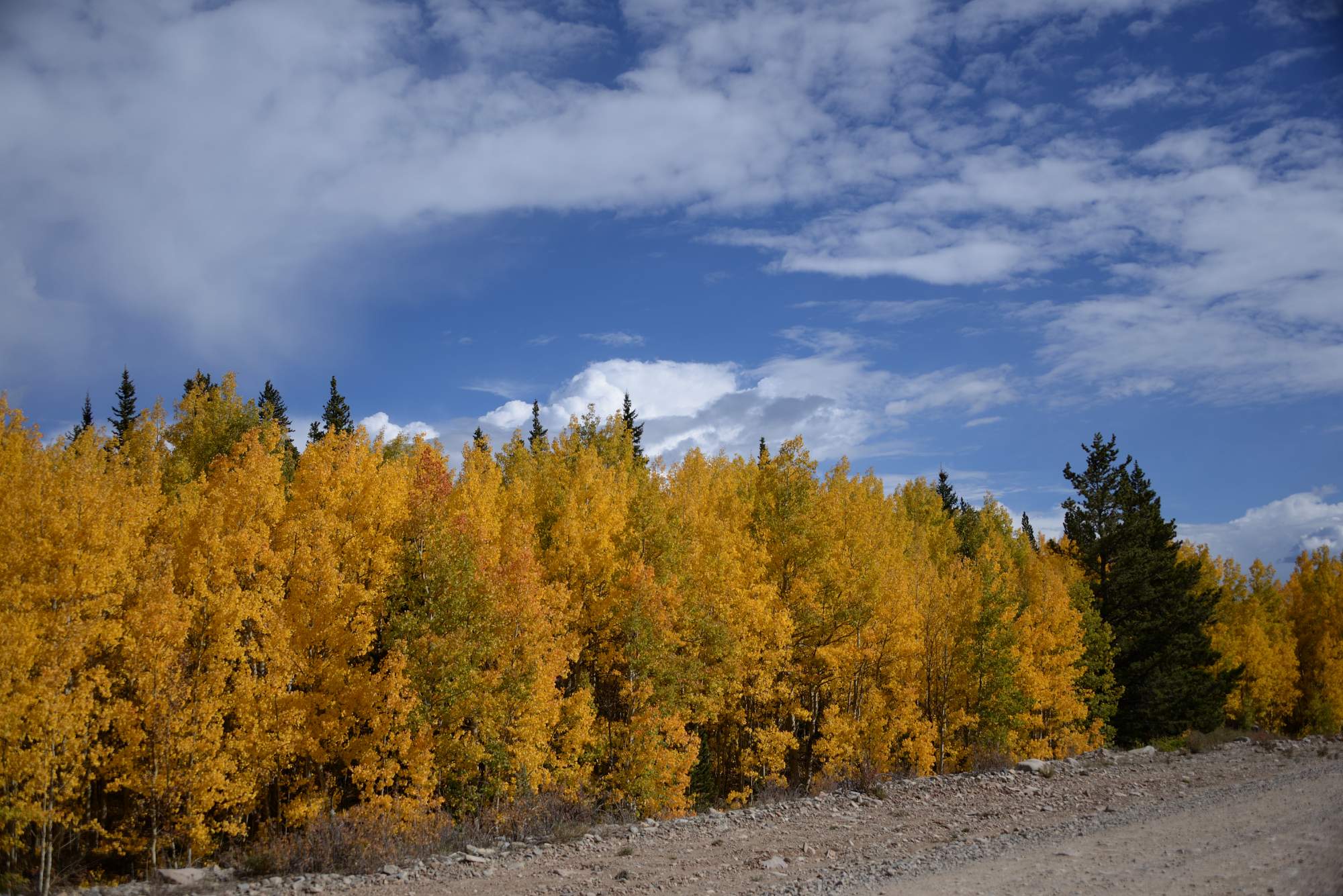 Solve Fall Colors Boreas Pass Colorado 2022 jigsaw puzzle online with ...