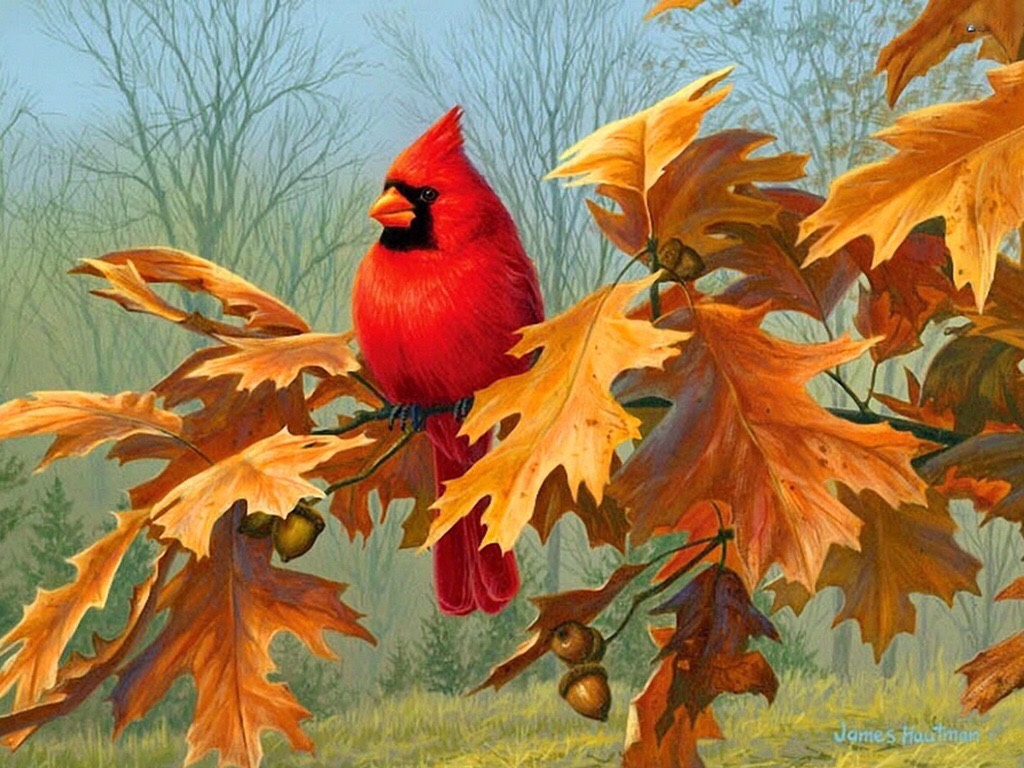 Solve Autumn Cardinal jigsaw puzzle online with 165 pieces