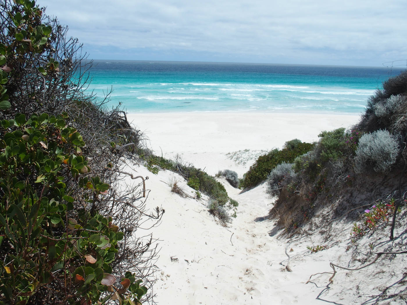 Solve Boranup Beach, Margaret River, Western Australia jigsaw puzzle ...