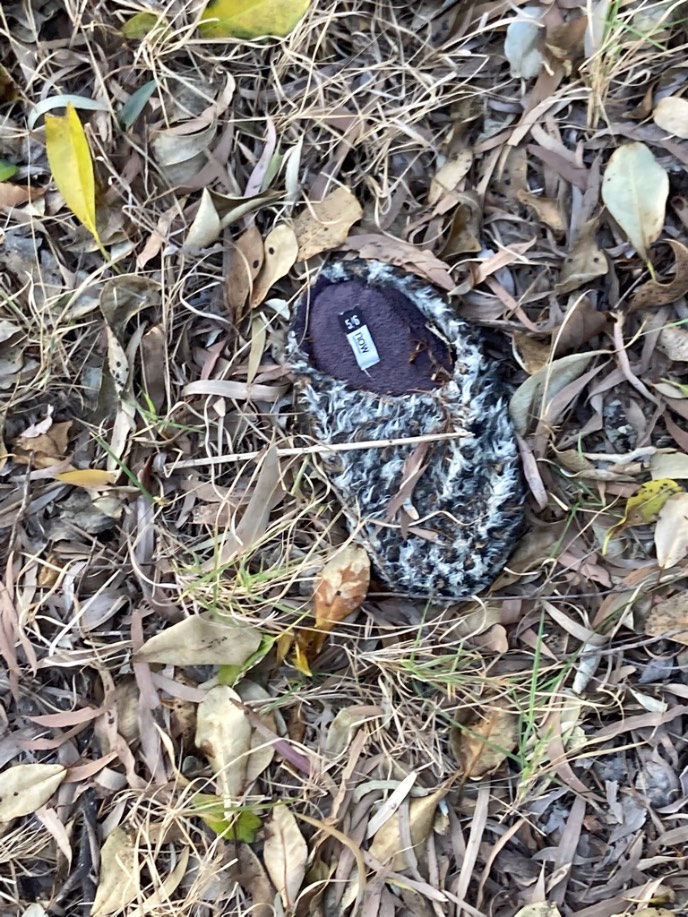 Solve Lost a fluffy slipper in the bush 🤔 jigsaw puzzle online with 12 ...