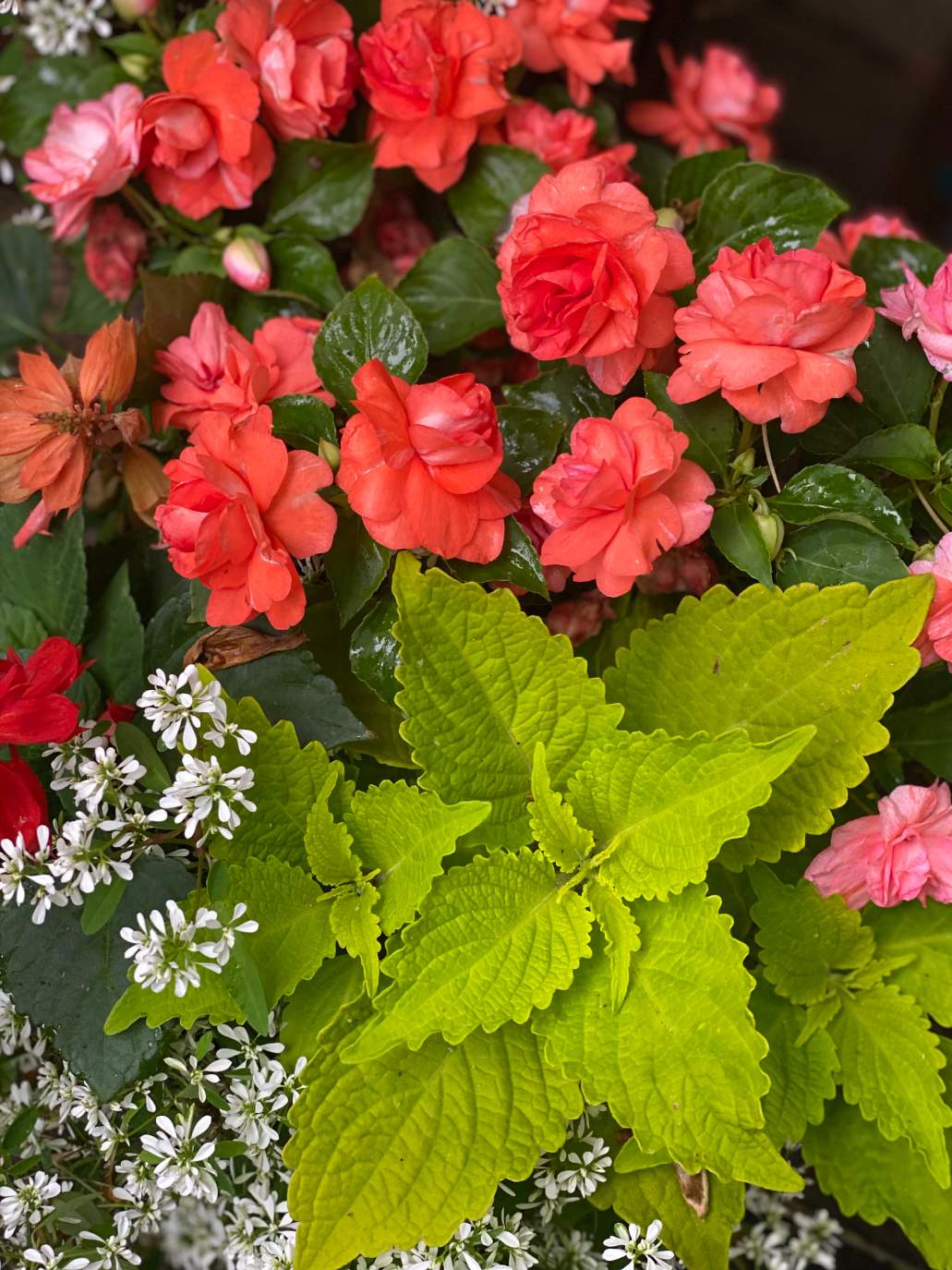 Solve April Showers Bring May Flowers jigsaw puzzle online with 88 pieces