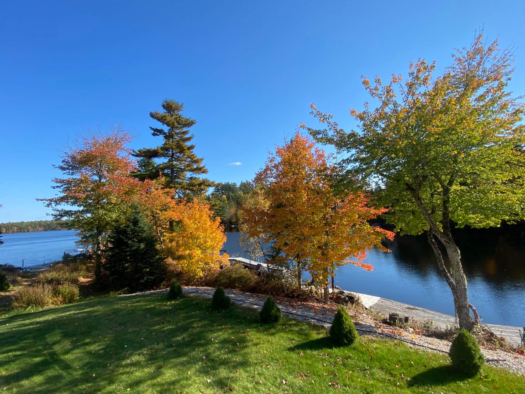 Solve October Trees jigsaw puzzle online with 300 pieces