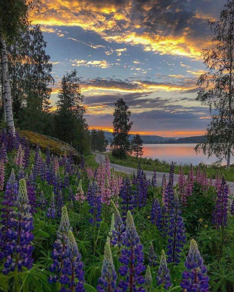 Solve Sunset View jigsaw puzzle online with 63 pieces