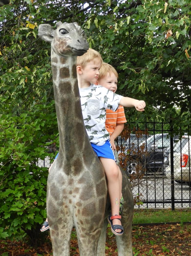 Solve Giraffes are good for riding! jigsaw puzzle online with 20 pieces